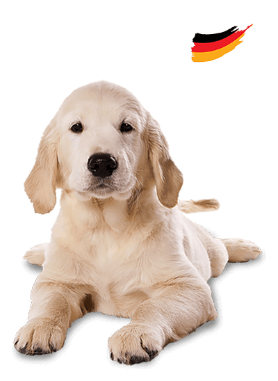 Travelling with Pets from Sri Lanka to Germany | Pet Express